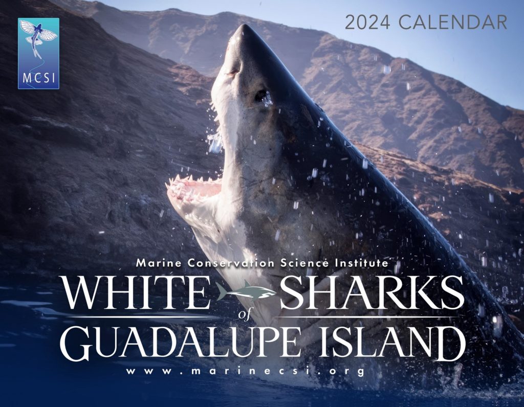 Marine Conservation Science Institute